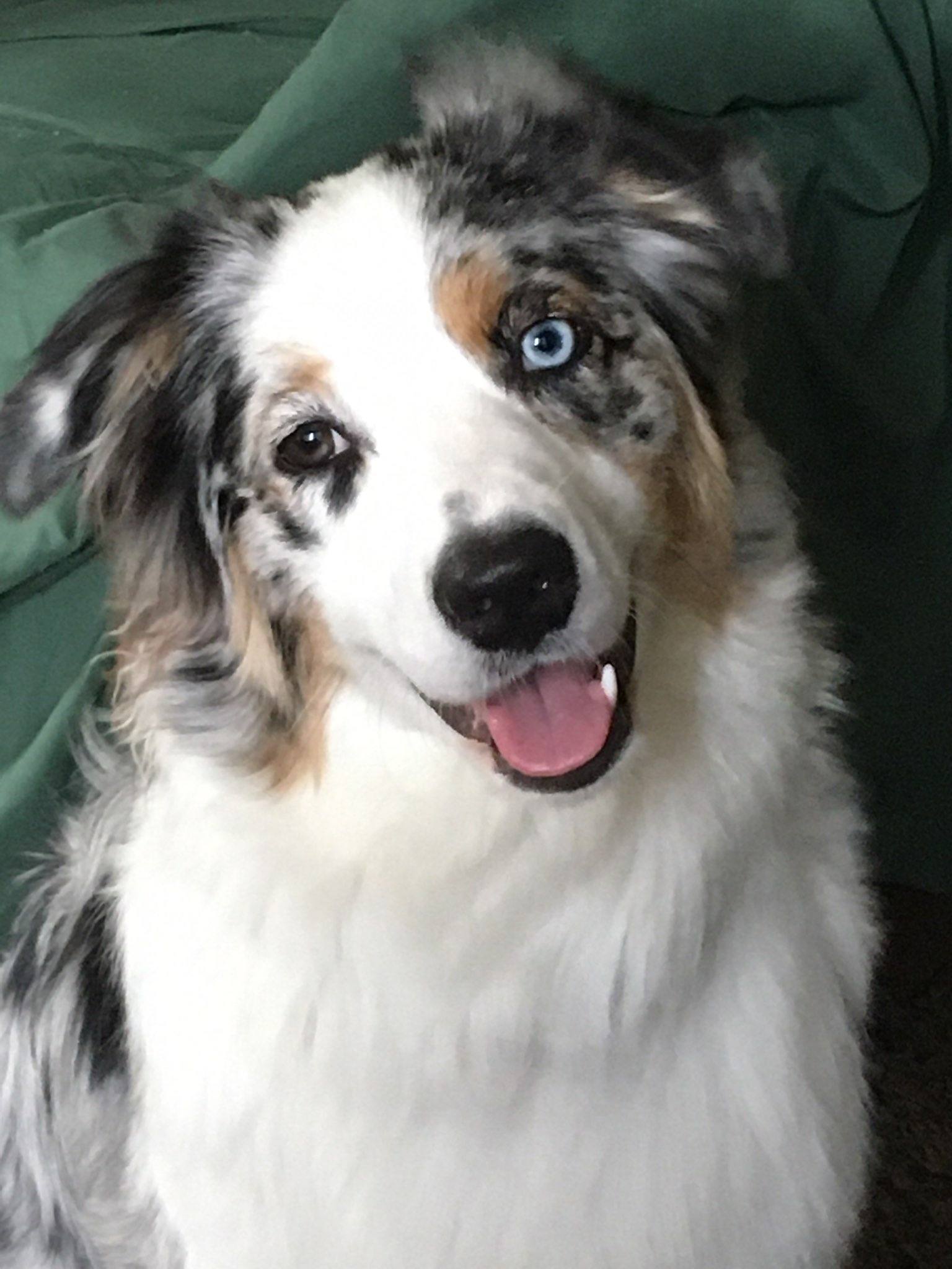 We’re All Grown Up! – Purple Tyger Creations